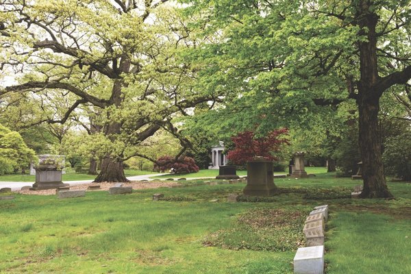 Moses Cleaveland Trees Revisited