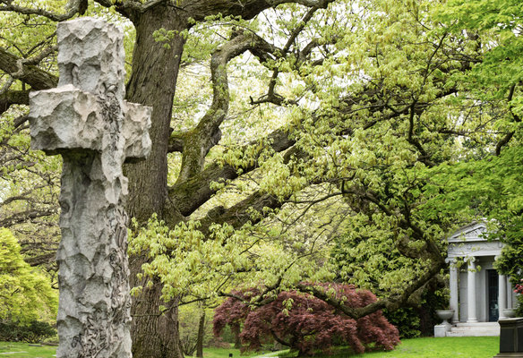 Groups Record, Track Moses Cleaveland Trees